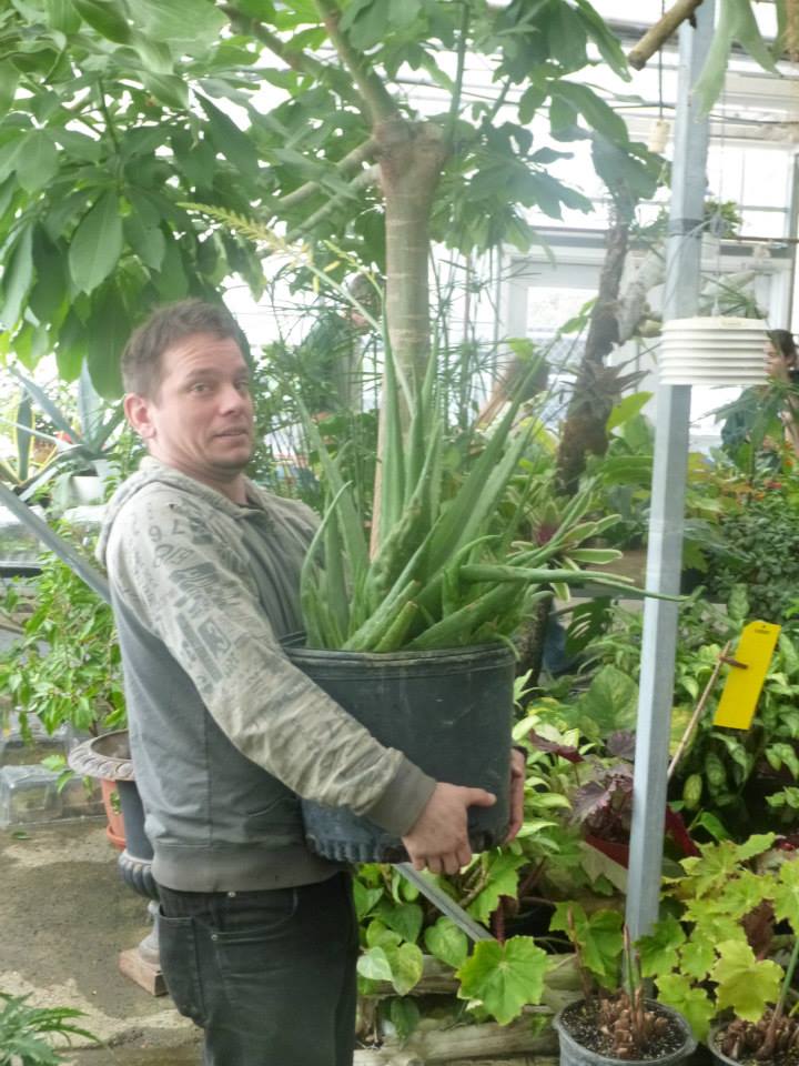 Photos DEP production horticole - Centre de formation agricole de Mirabel