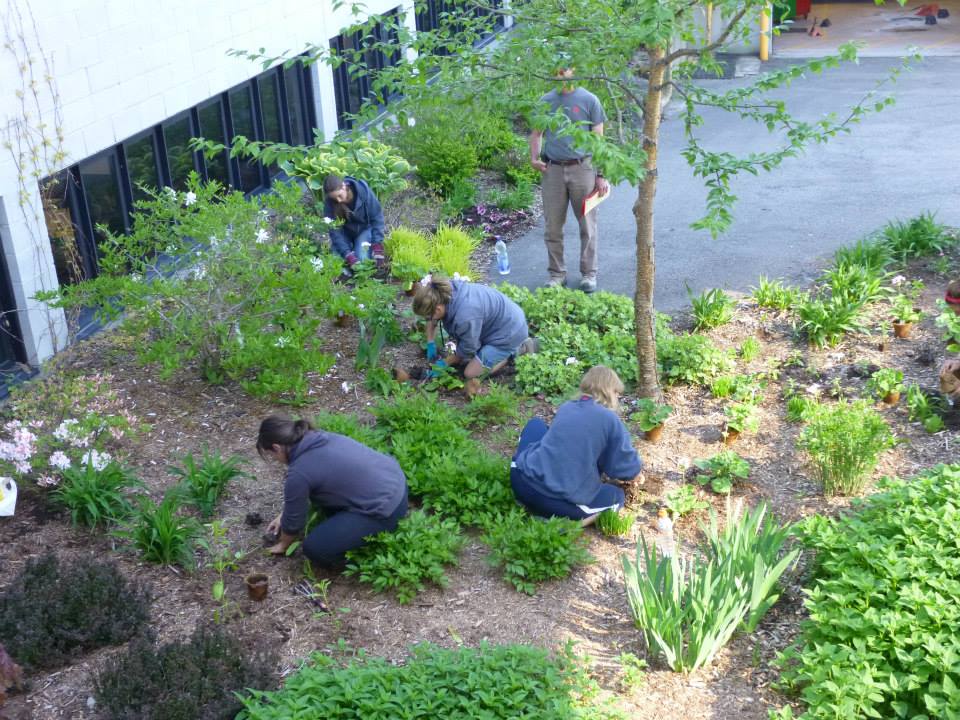 Photos DEP Réalisation d'aménagements paysagers - Centre de formation ...