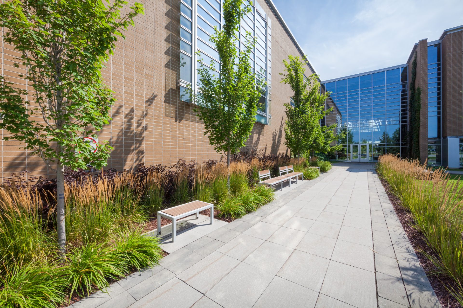 CFNT, visite virtuelle - Centre de formation des Nouvelles-Technologies